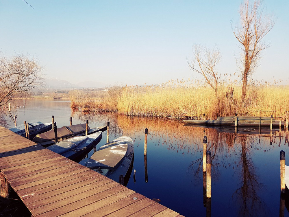 Darsena - UPEL Italia